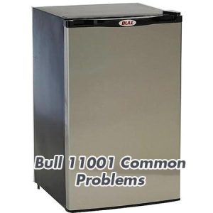 Bull 11001 Common Problems