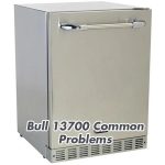 Bull 13700 Common Problems