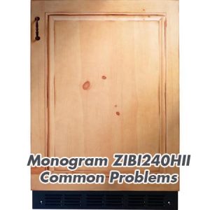 Monogram ZIBI240HII Common Problems